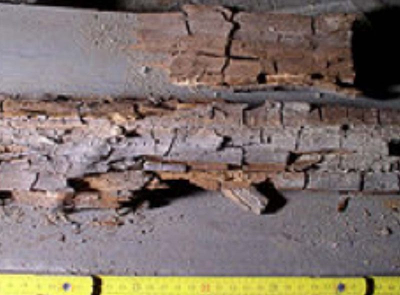 Cornwall Dry Rot Treatment | Cornwall Wet Rot Treatment